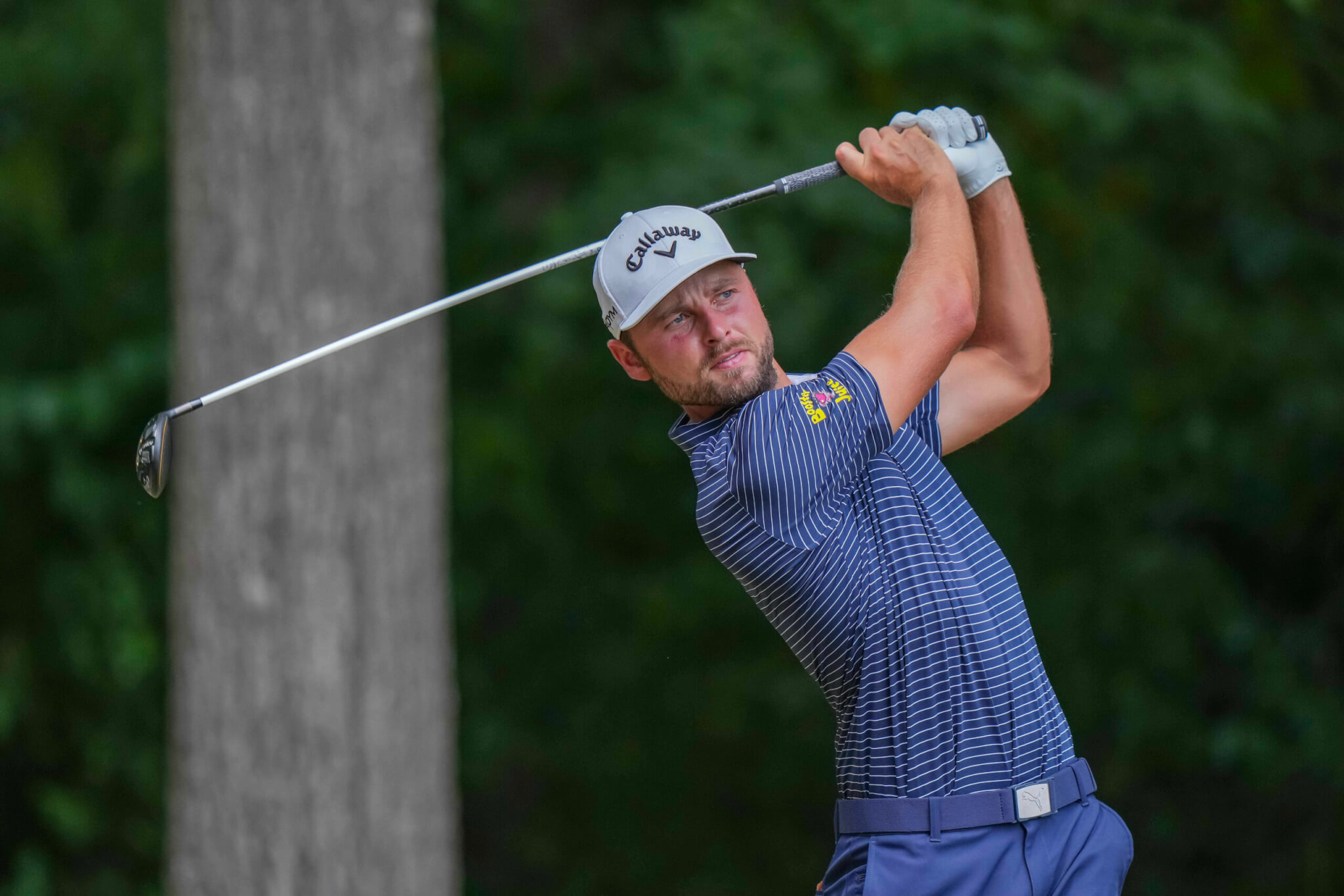 2023 RSM Classic - Caddie Network