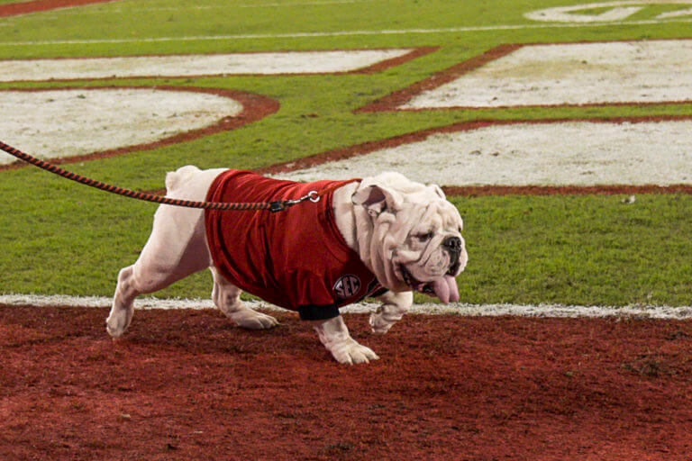 Week 9: College football caddie picks - Caddie Network